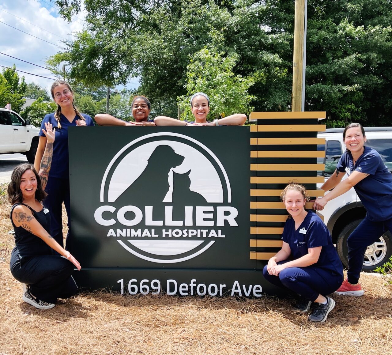Best Vet Hospital In Atlanta, GA | Collier Animal Hospital